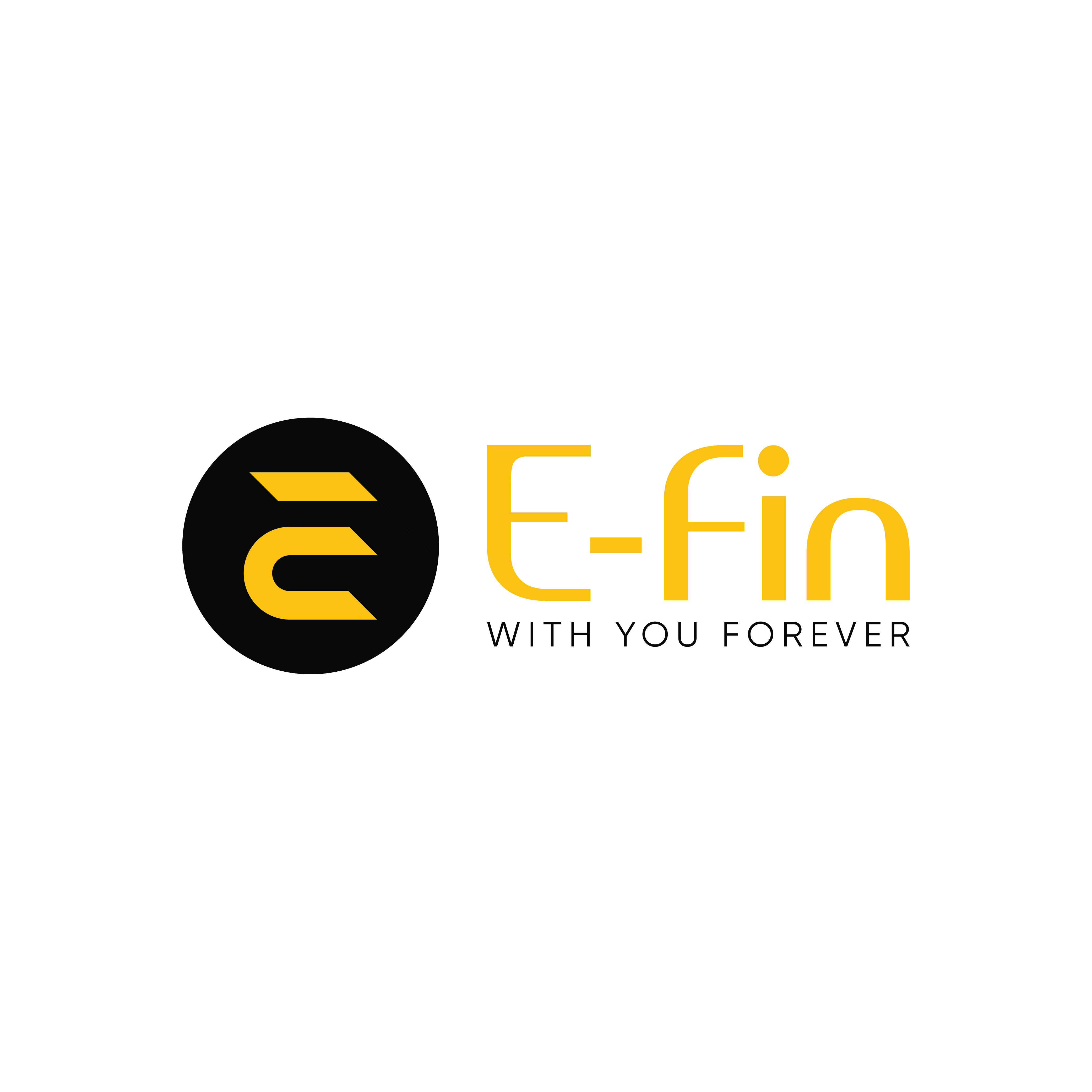 E-Fin - India's Fastest Growing Lending Platform